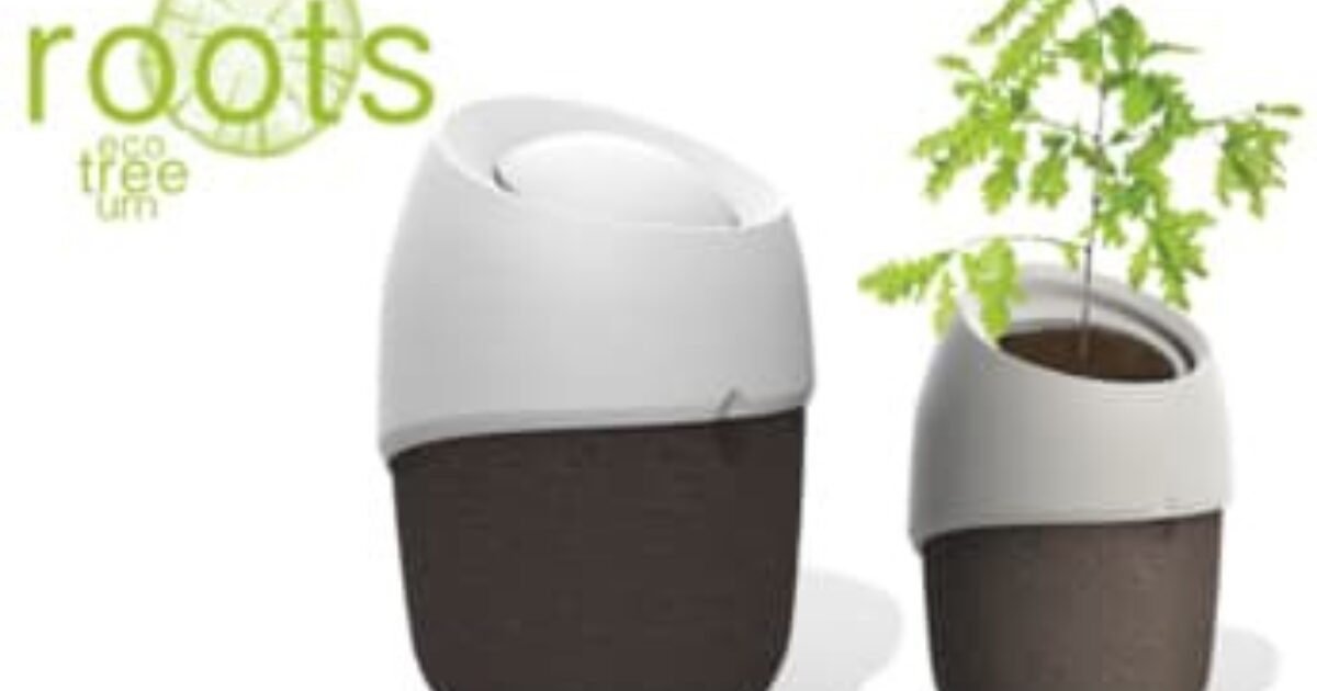 Réseau CCTT | Des urnes écologiques deviennent des arbres