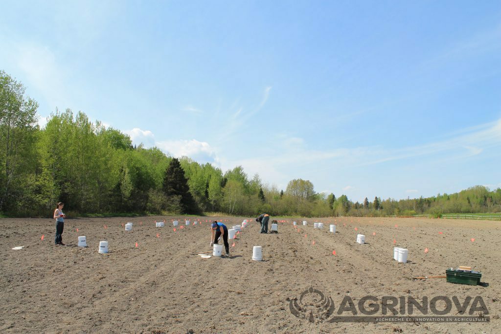 Agrinova: agricultural research and innovation | Réseau… | Réseau CCTT